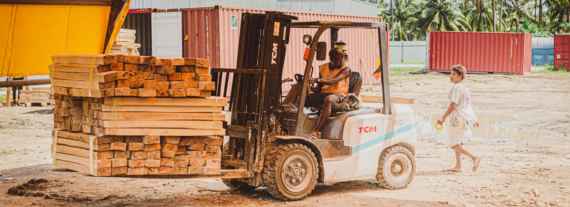 Balsa Wood Plantation | Wholesale & Export | WR Carpenter Estates PNG